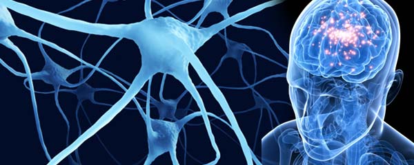 Neurology - Medikum Hospital