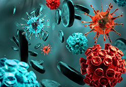 Infectious Diseases and Clinical Microbiology - Medikum Hospital